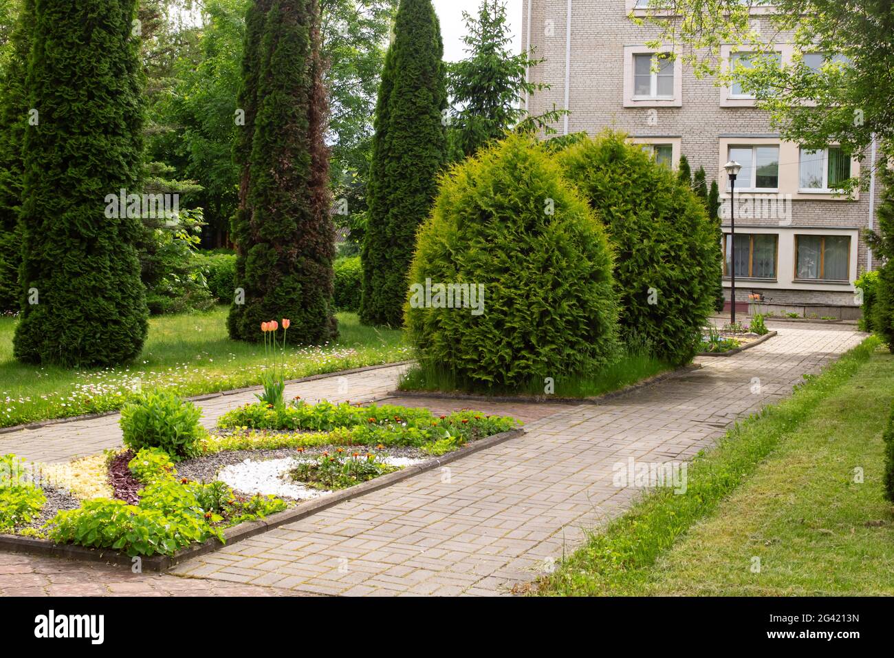 Old tiled path in the park among the grass close up Stock Photo - Alamy