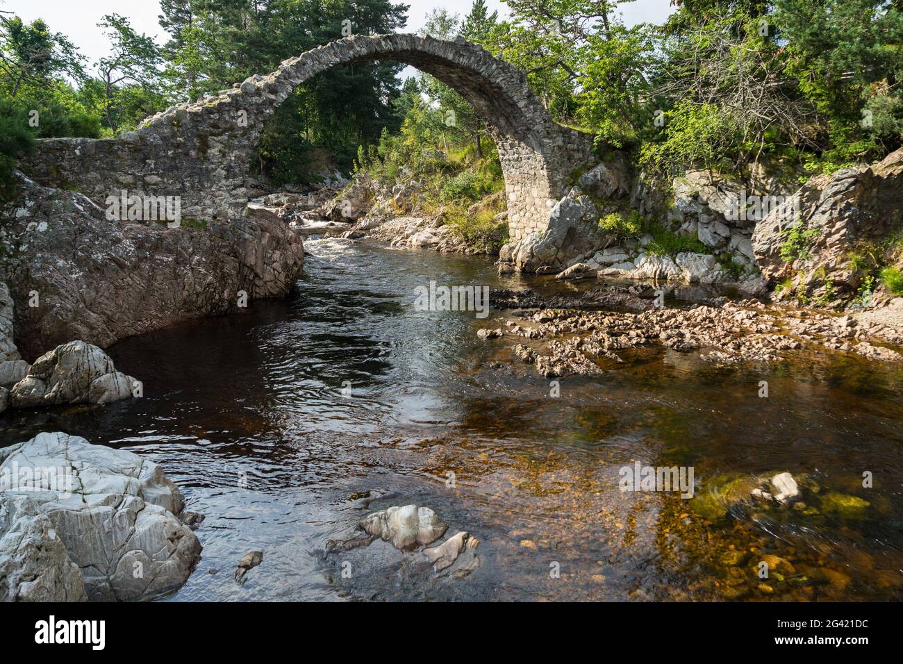 The Packhorse Bridge at Carrbridge Stock Photo - Alamy