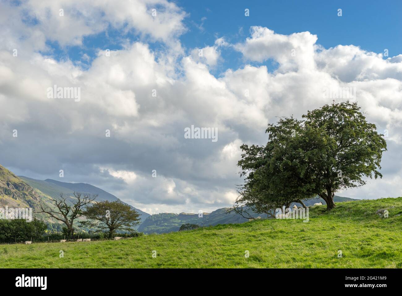Countryside lake district hi-res stock photography and images - Alamy