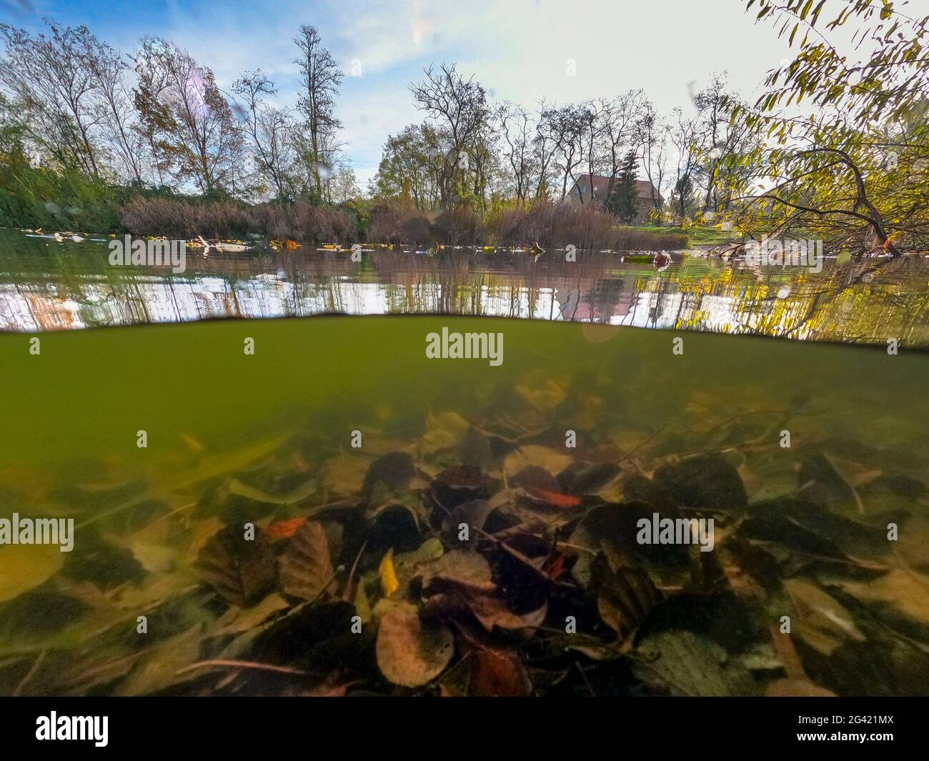 Half air and half water photo hi-res stock photography and images - Alamy