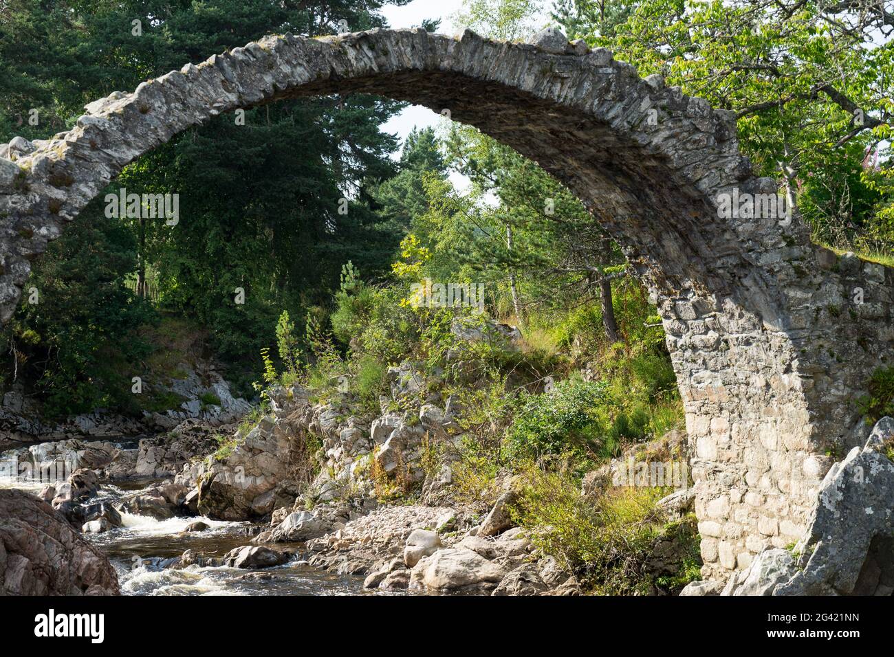 The Packhorse Bridge at Carrbridge Stock Photo - Alamy