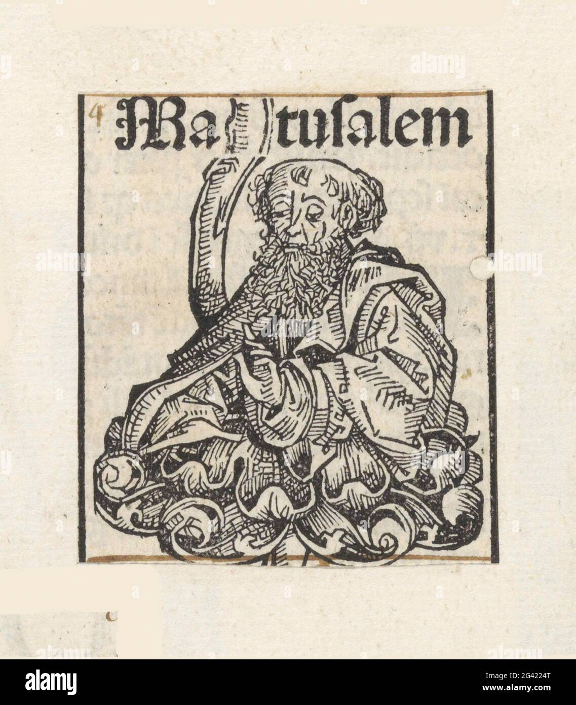 Metuseach; Matusalem; Liber chronicarum. A flower celk with an old ...