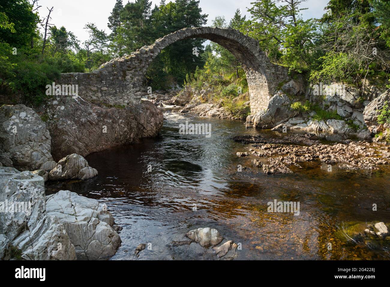 The Packhorse Bridge at Carrbridge Stock Photo - Alamy