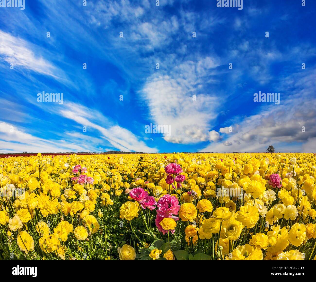 Flying clouds on a windy spring day Stock Photo - Alamy