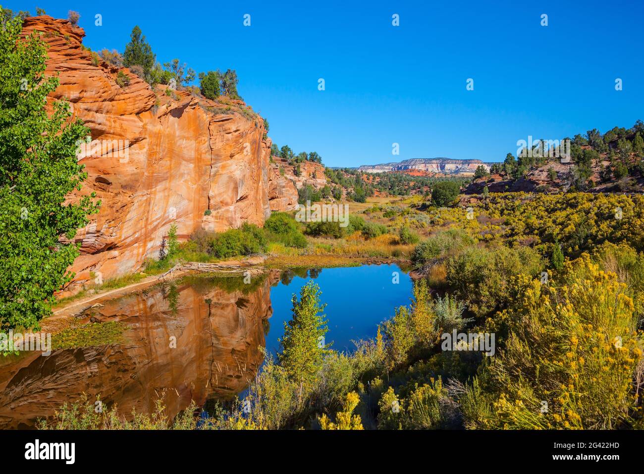 River rock puddle hi-res stock photography and images - Alamy