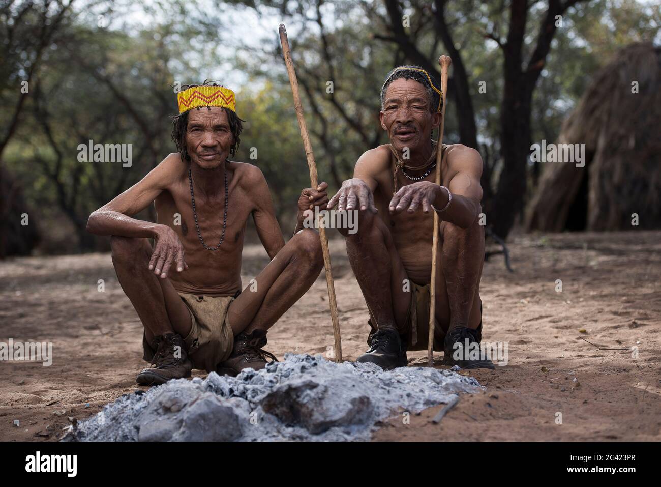 Portraits of People from the Bushmen Naro Tribe. Botswana is home to ...