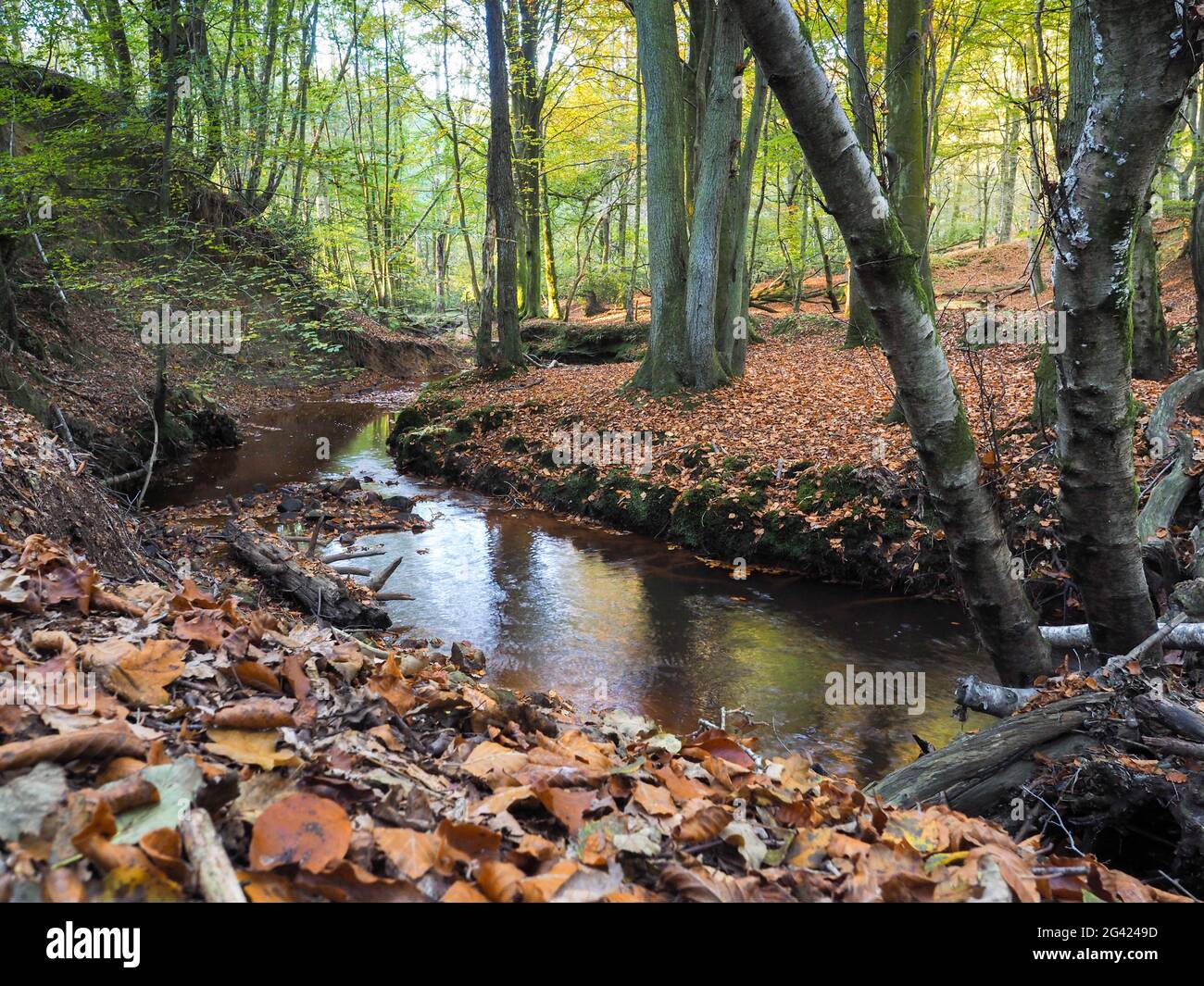 Ashdown forest view hi-res stock photography and images - Alamy