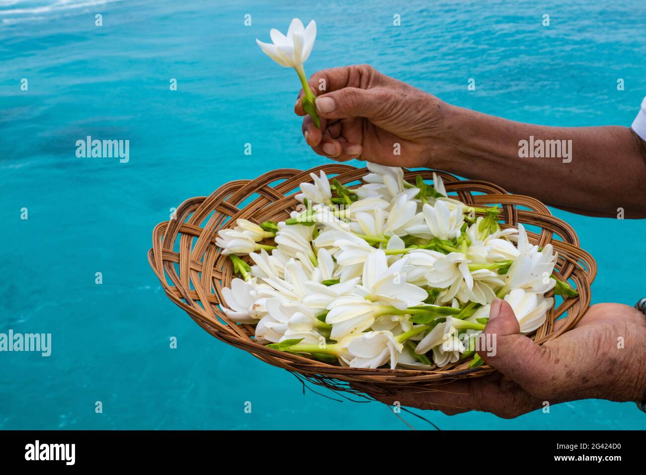 Tiare flower hi-res stock photography and images - Alamy