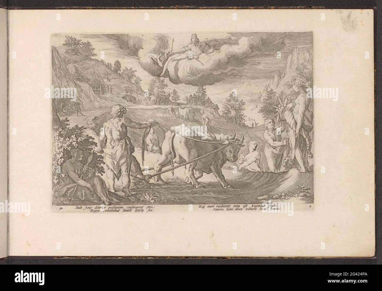 Bull naso hi-res stock photography and images - Alamy