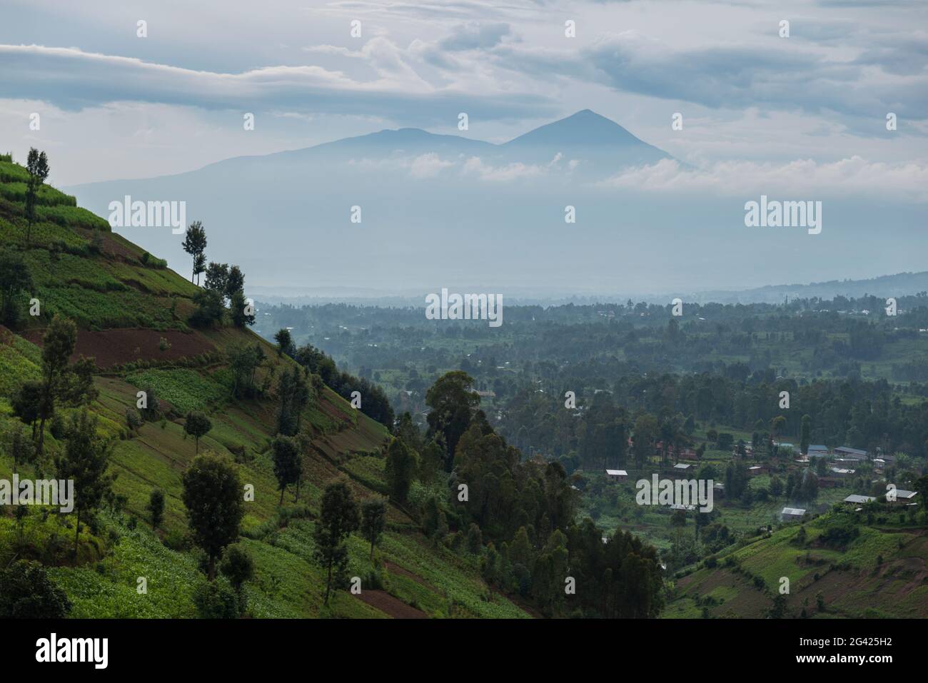 Trees on hillside with volcanic peaks in the distance, near Kinyababa ...