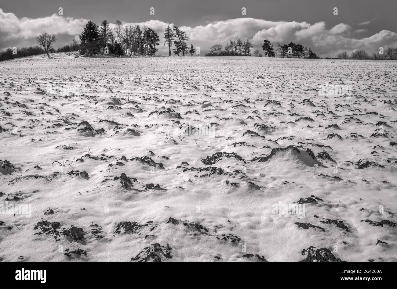 Field landscape in winter Stock Photo - Alamy
