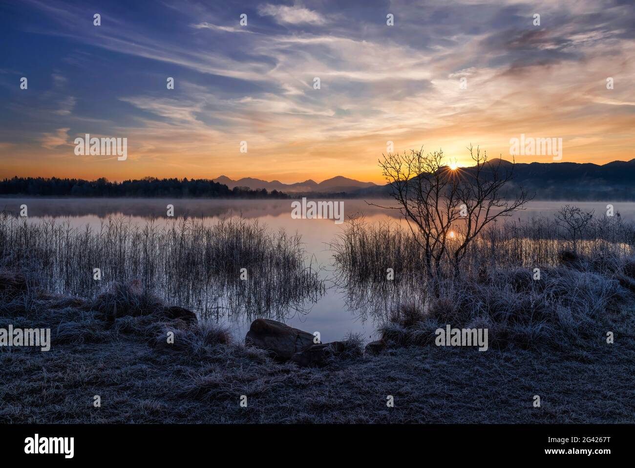 Sunrise in winter at the Staffelsee, Uffing, Bavaria, Germany, Europe ...