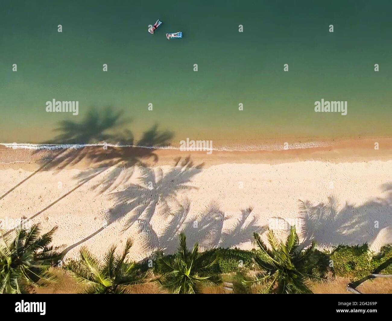 Sandy beach palm trees shadow hi-res stock photography and images - Alamy