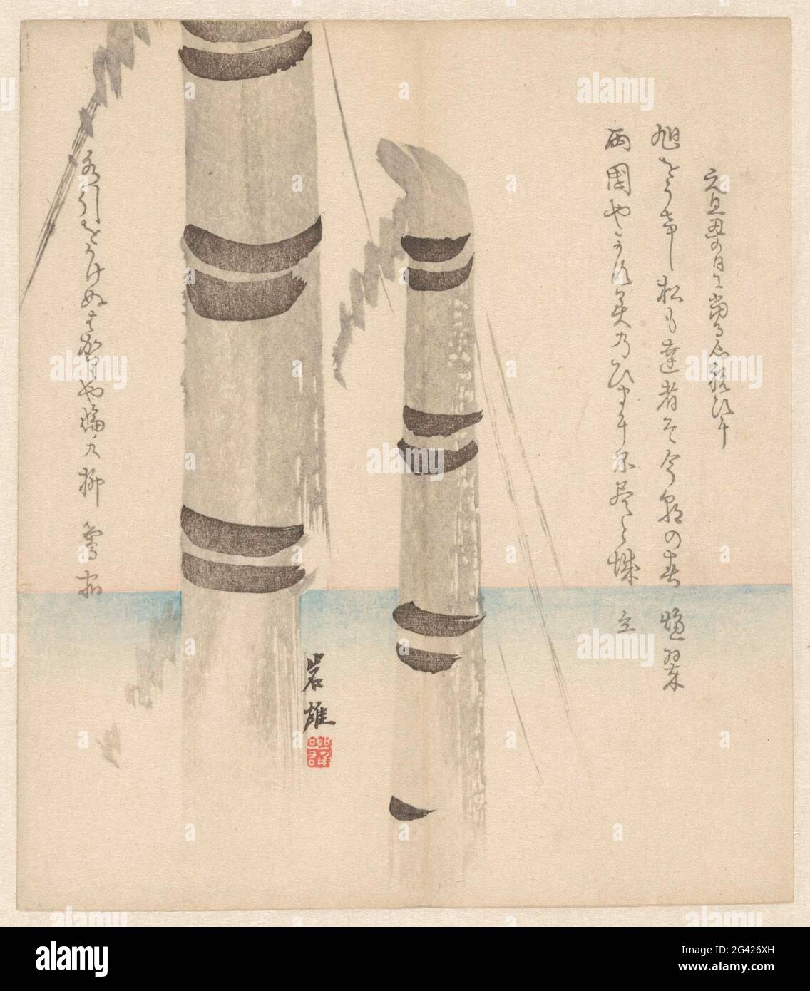 Two bamboo stems Stock Photo - Alamy