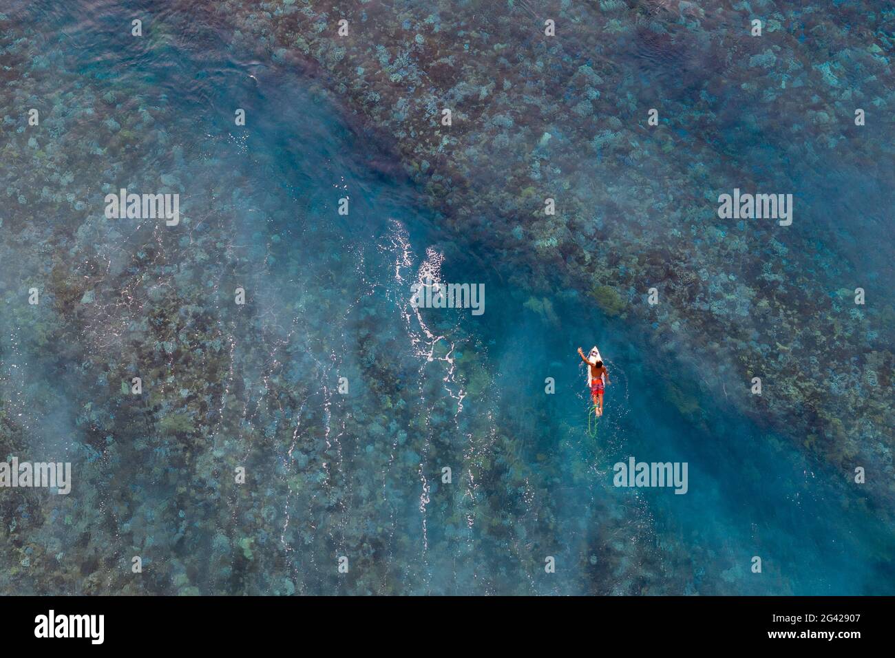 Aerial view of surfers waiting for wave on reef, Nuuroa, Tahiti ...