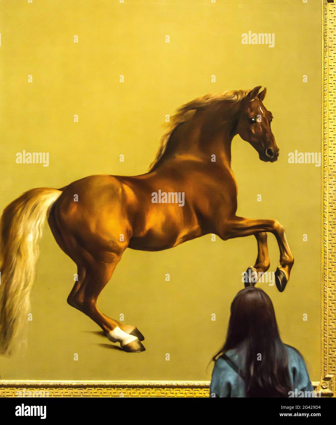 The national gallery london interior hi-res stock photography and ...