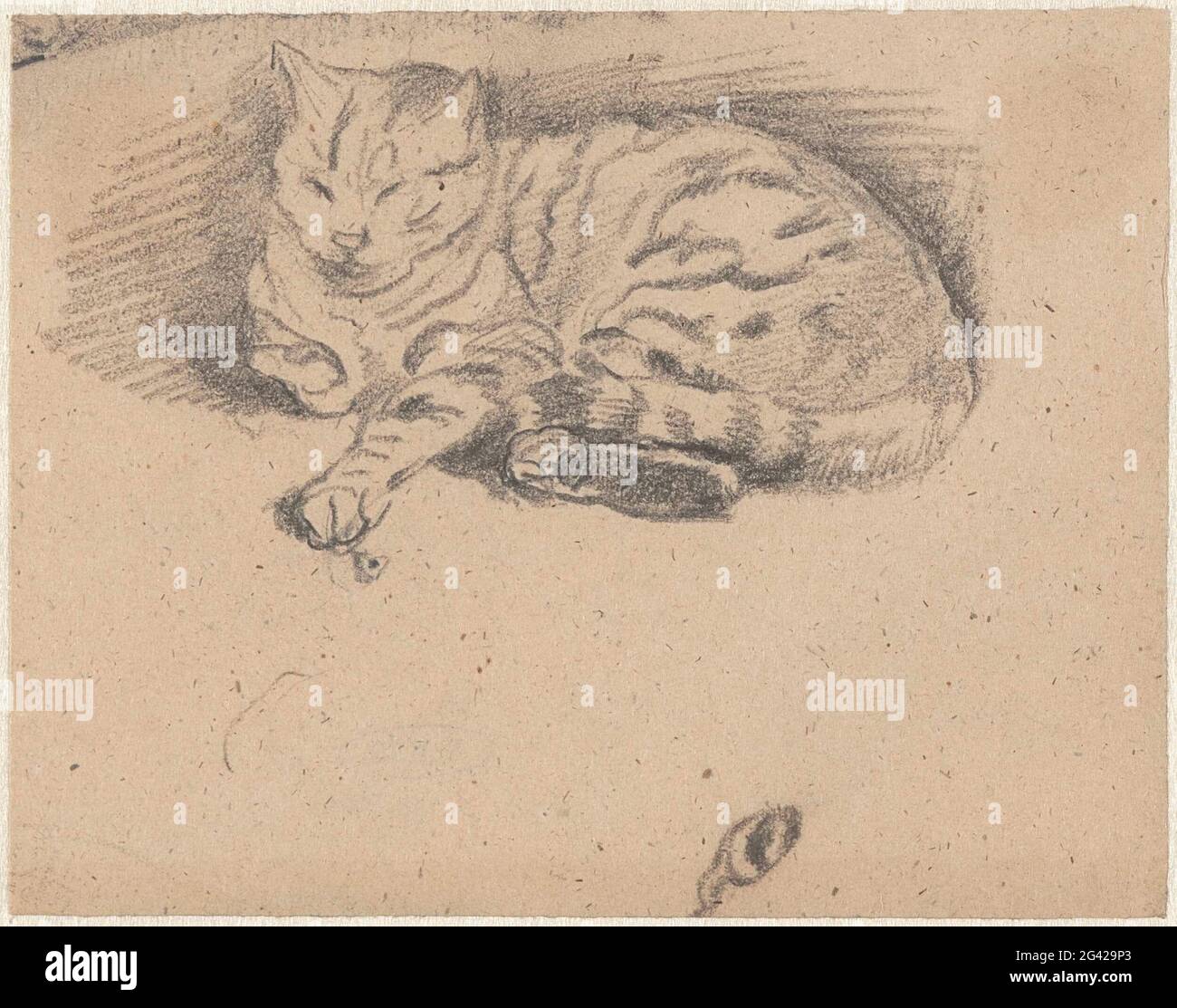 Cat stretch leg hi-res stock photography and images - Alamy