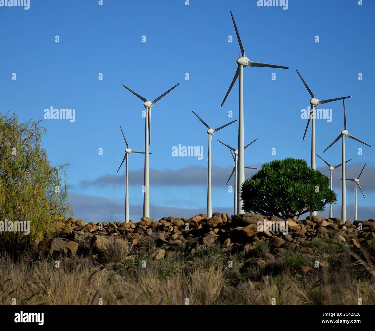 Rustic land, wind farm with scattered turbines and blue sky in the ...