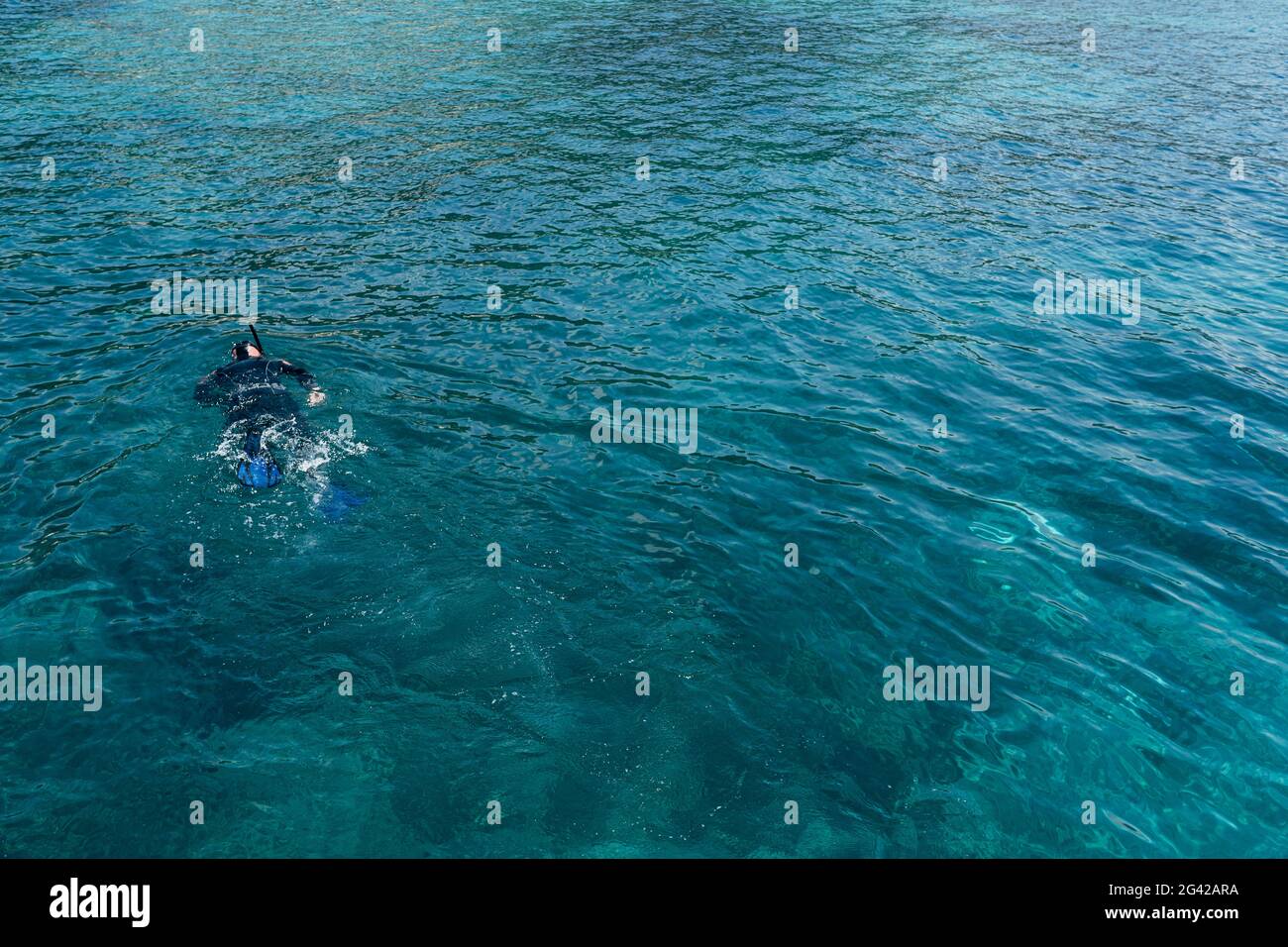 Man in diving mask swims hi-res stock photography and images - Alamy