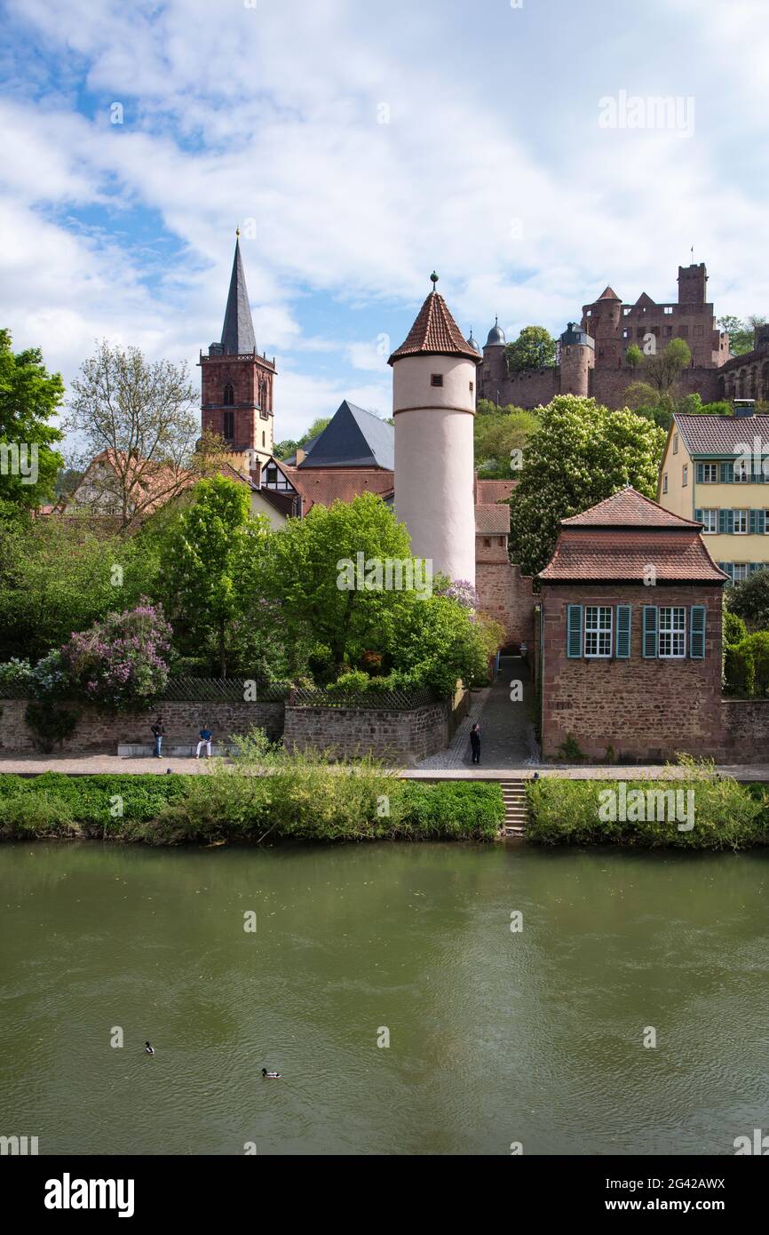 The Tauber flows gently past the old town with the Roter Turm am ...