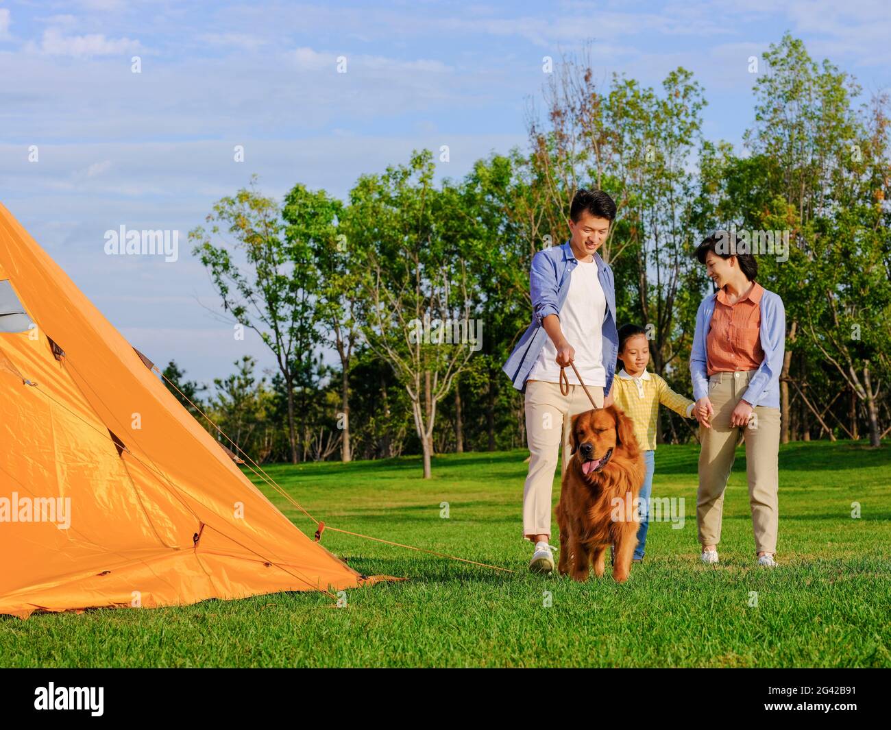 A happy family of three walking dogs in the park high quality photo ...