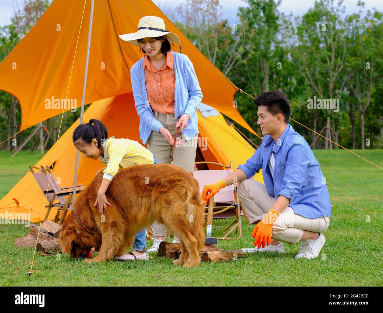 Happy family of three and dog camping out high quality photo Stock ...