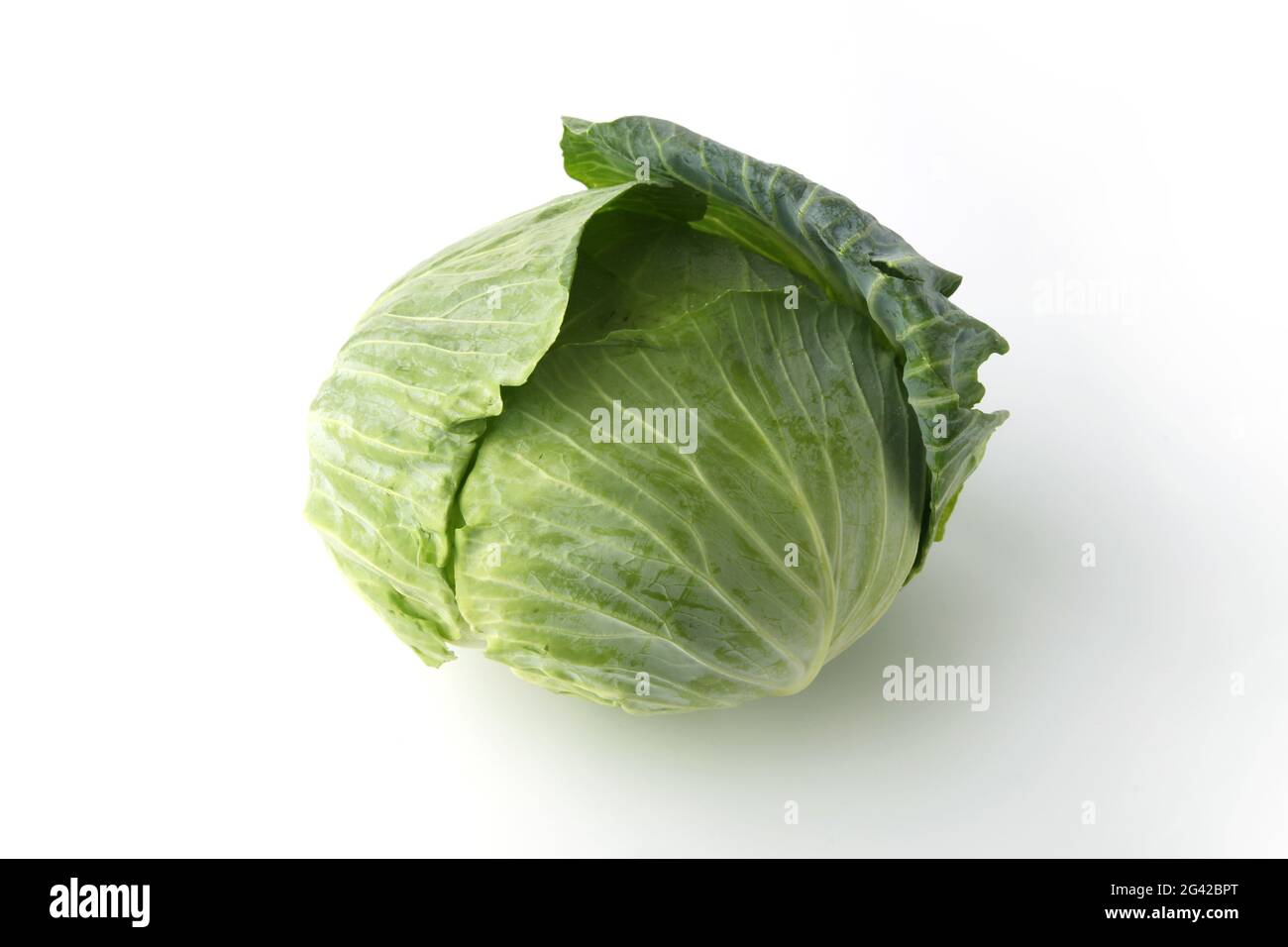 cabbage isolated on white background Stock Photo - Alamy