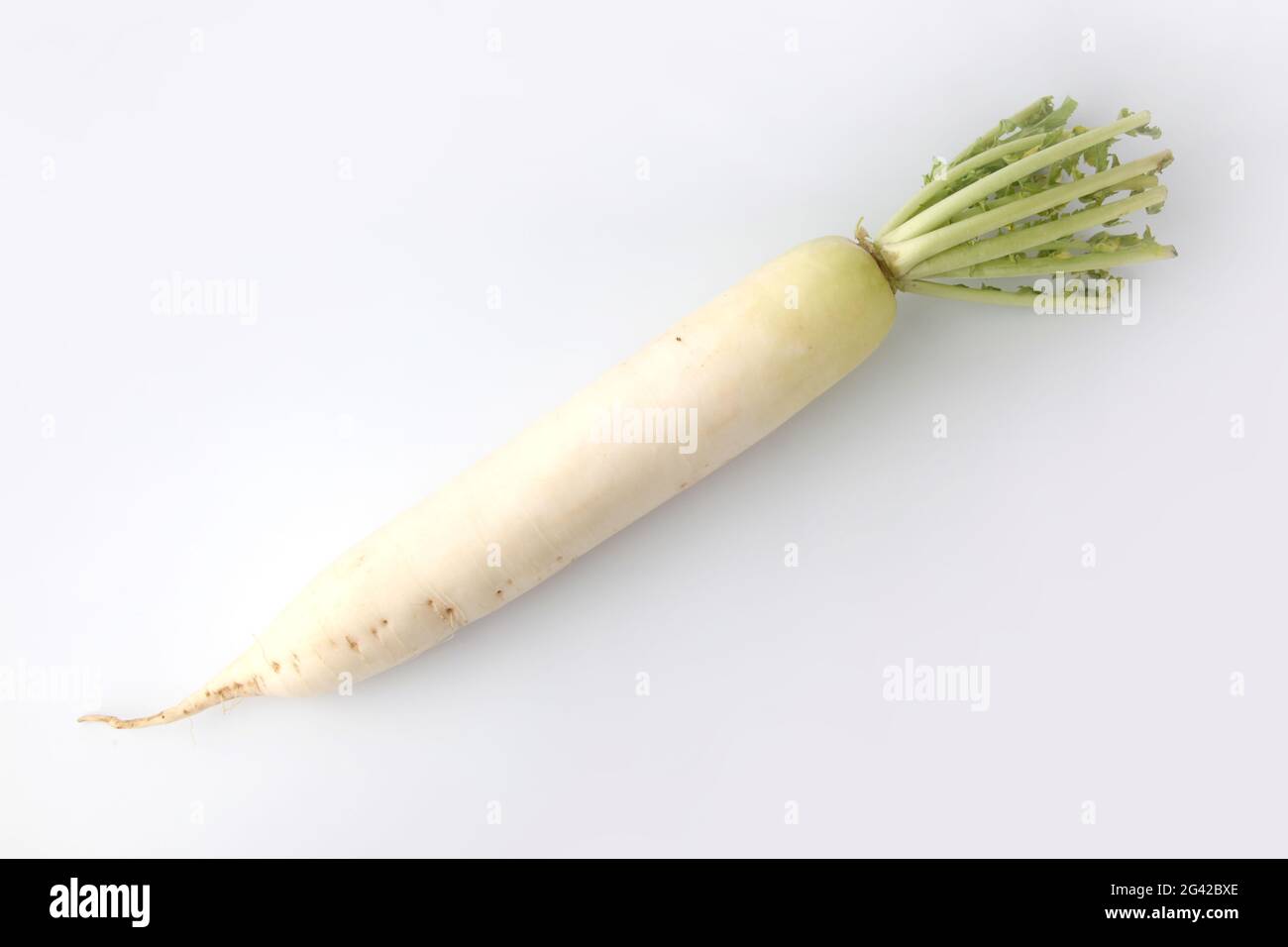 Chinese radish hi-res stock photography and images - Alamy