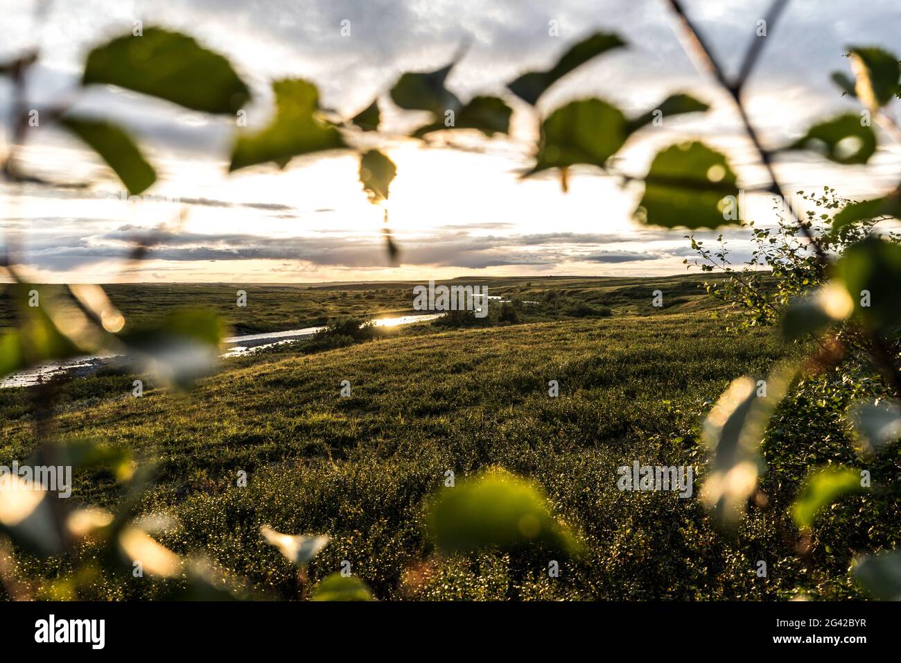 Russian tundra hi-res stock photography and images - Alamy