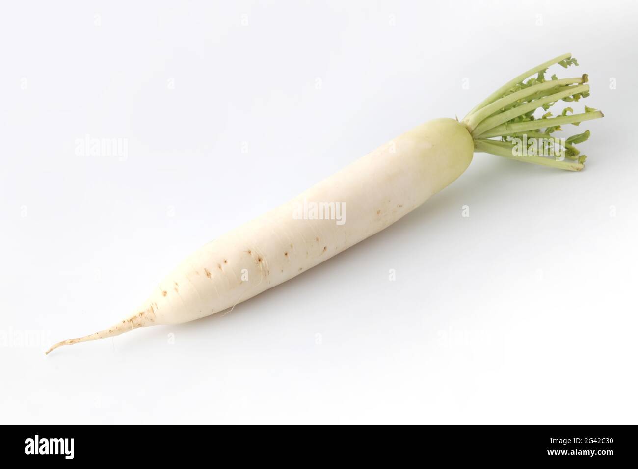 chinese radish isolated on white background Stock Photo - Alamy