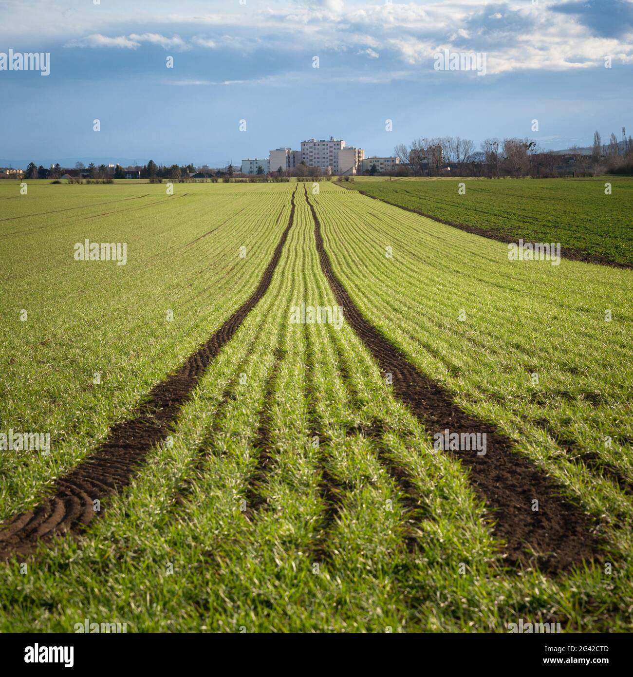 Tracks on a agricultural field near a village Stock Photo - Alamy