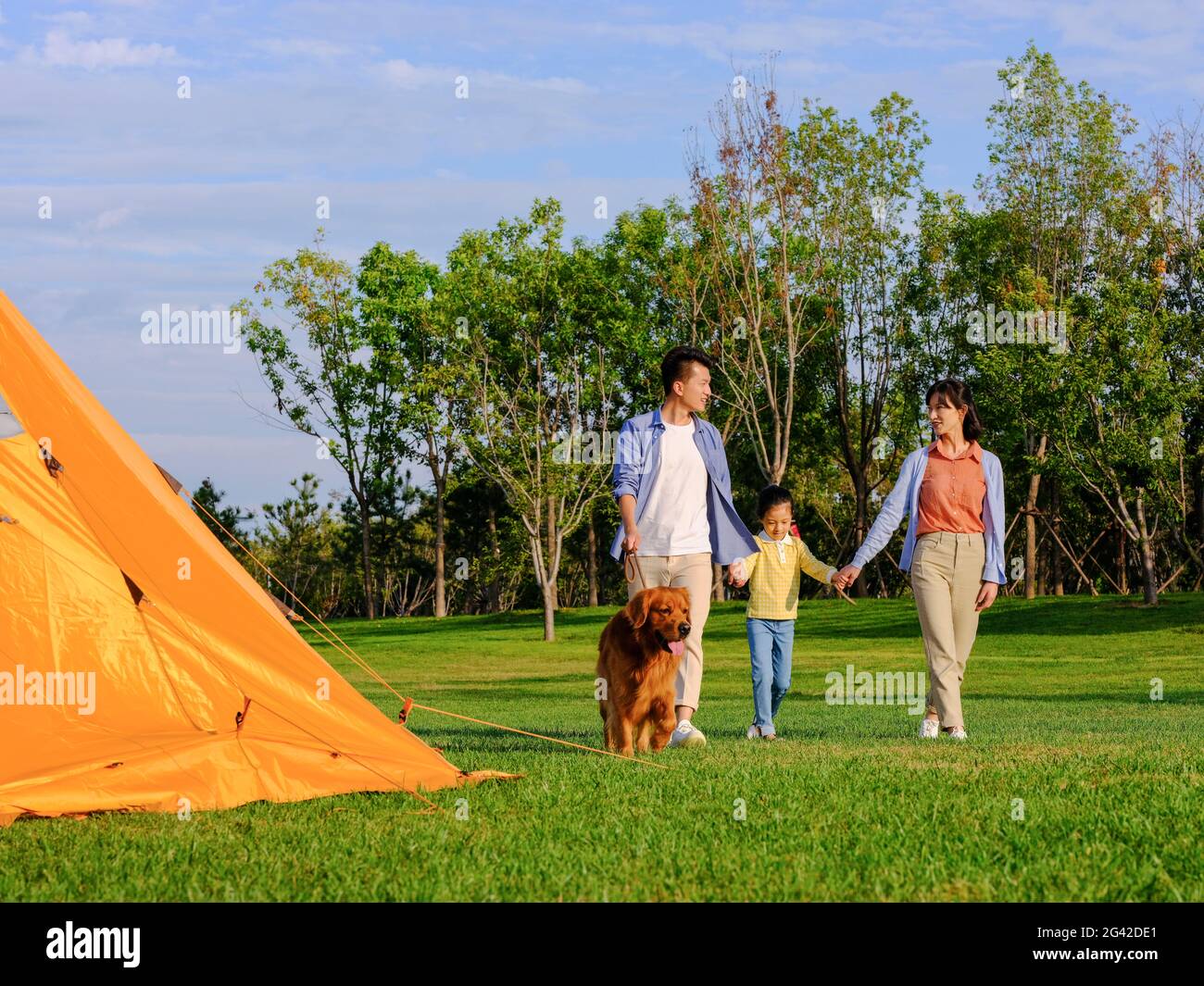 A happy family of three walking dogs in the park high quality photo ...