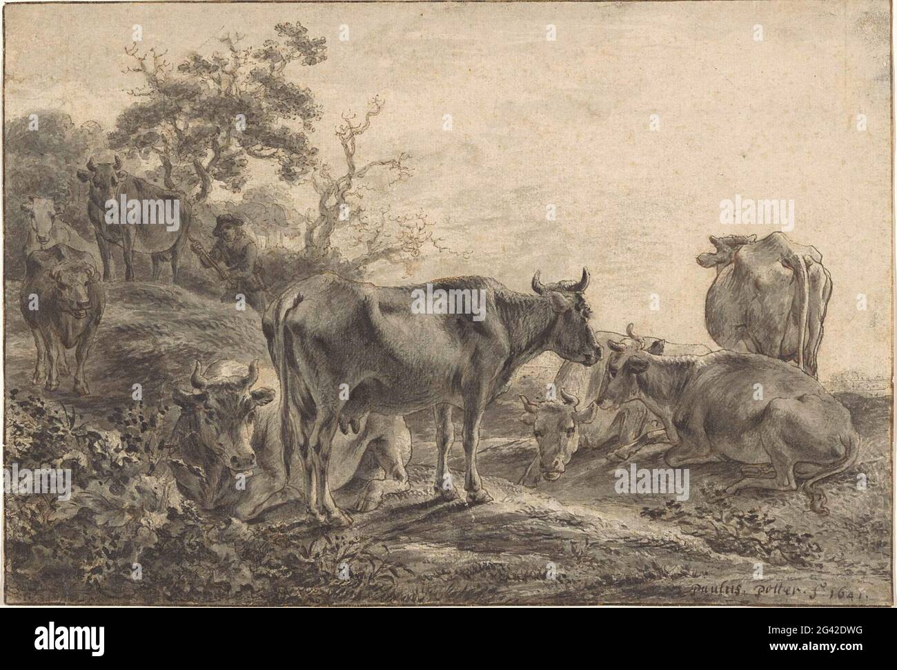 Cattle Herd Drawing