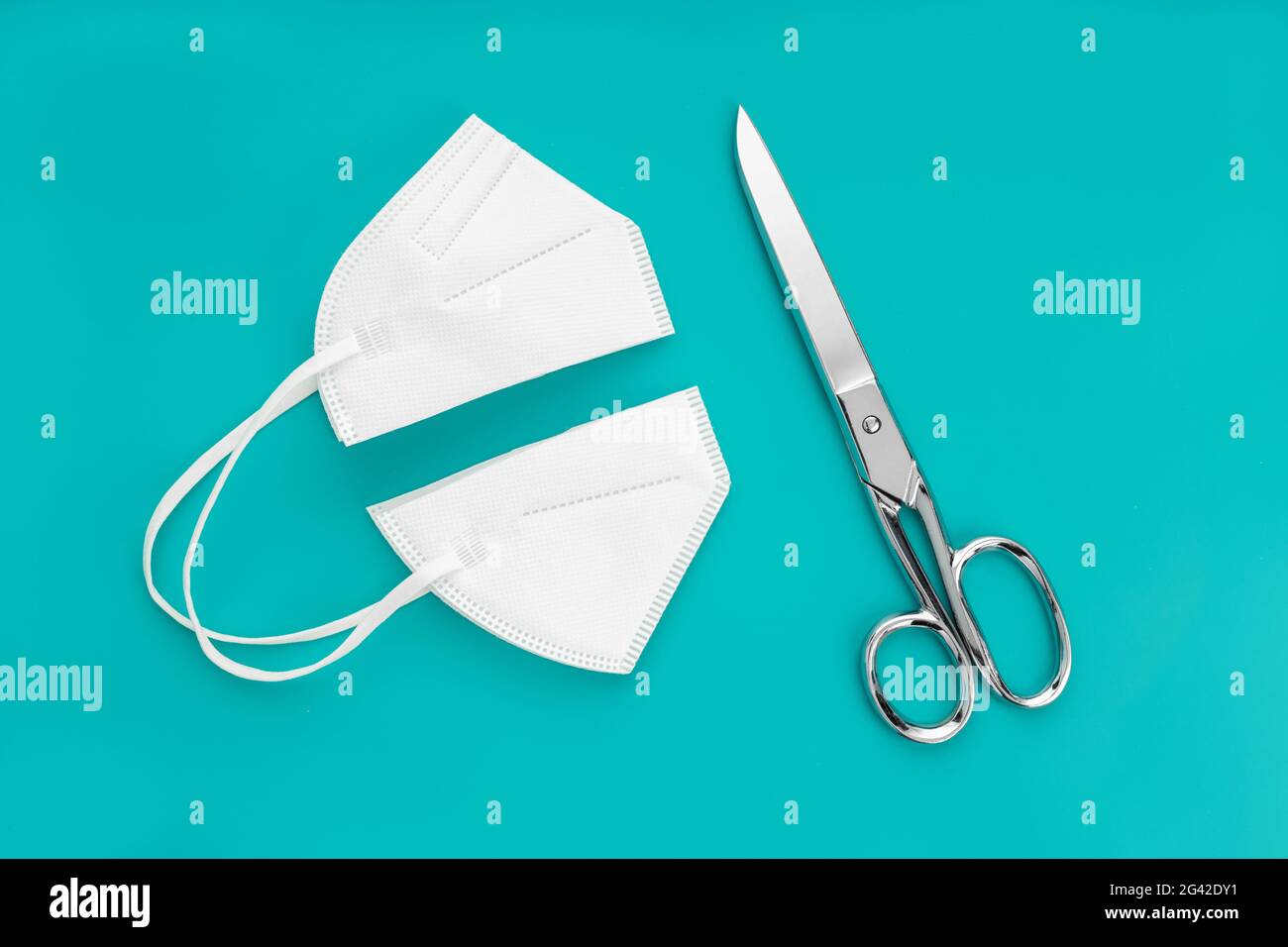 KN95 face maskcut in half and scissors isolated on blue background ...
