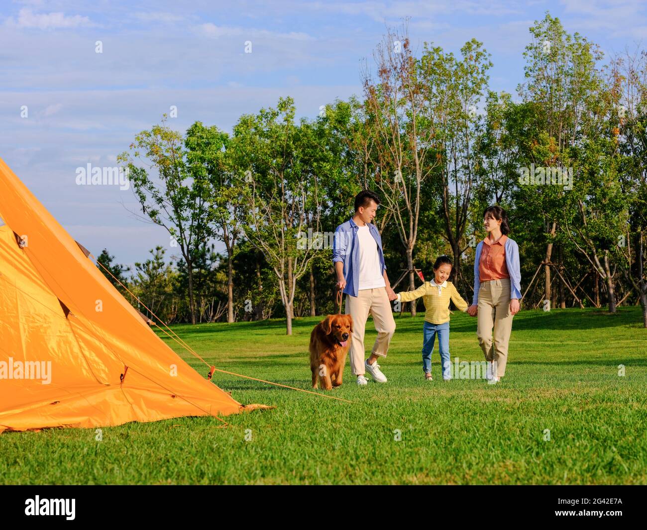 A happy family of three walking dogs in the park high quality photo ...