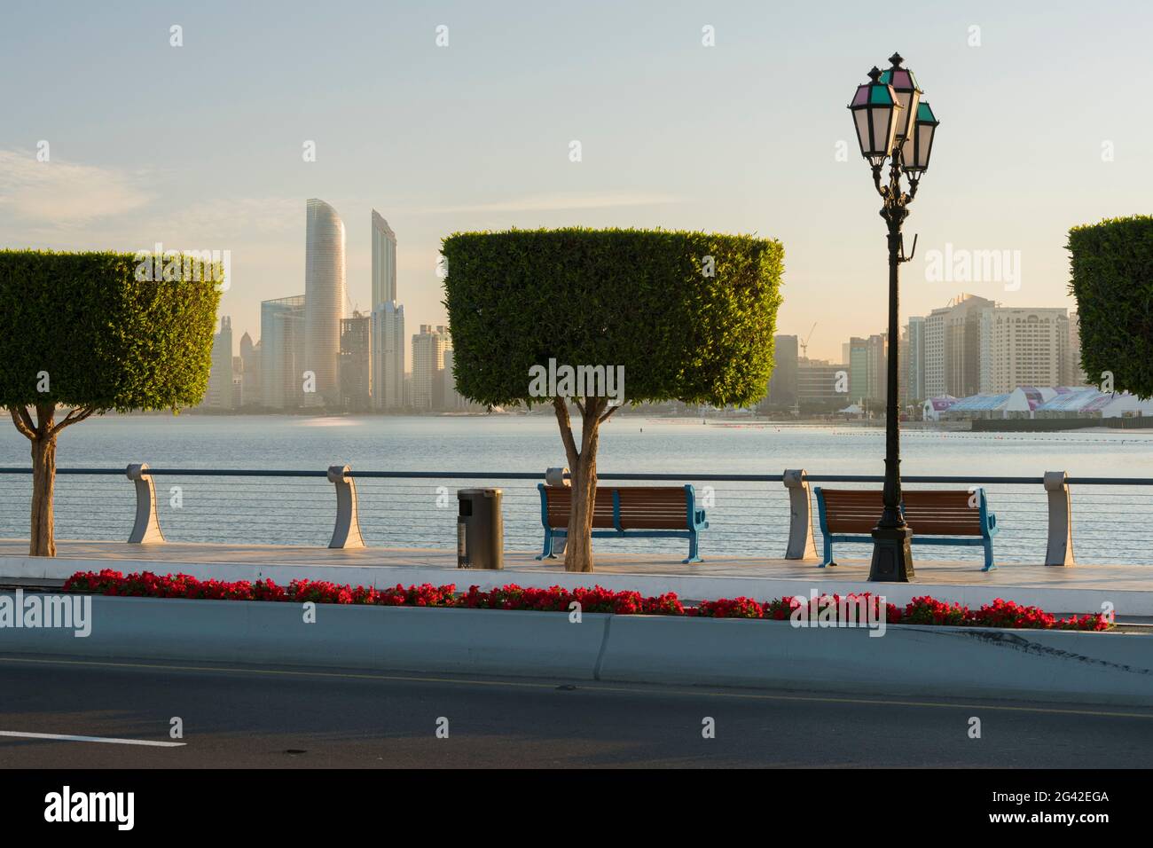 trimmed trees, skyscrapers, Abu Dhabi, United Arab Emirates Stock Photo ...