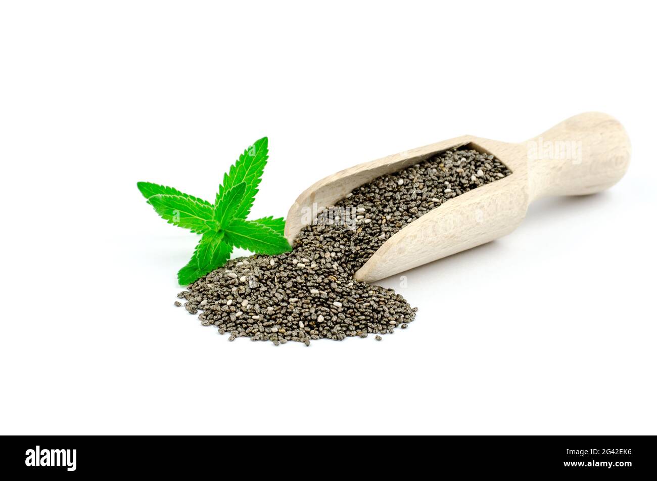 Wooden spoon with seeds and green chia leaves on a white background ...