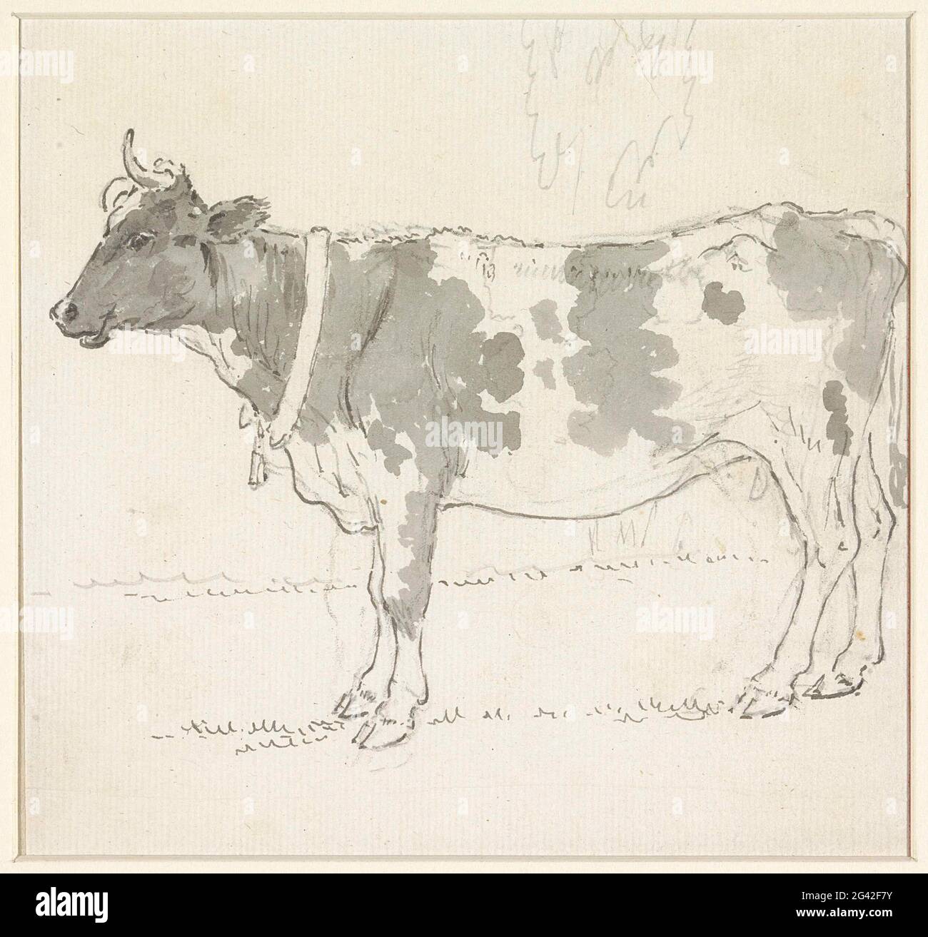 Standing cow, with a clock around the neck Stock Photo - Alamy