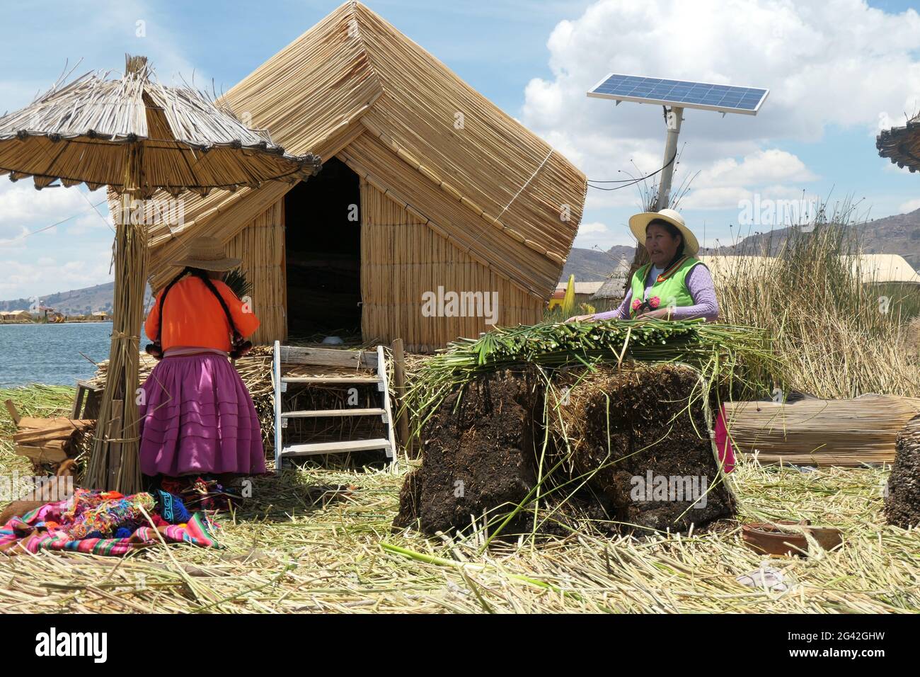 Locals showing how to make a reed or straw island in Lake Titicaca Peru ...