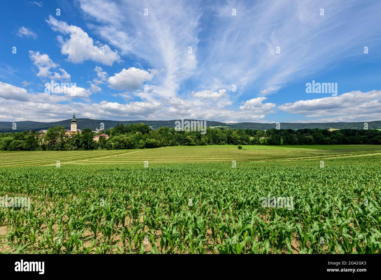 Hessian summer landscape corn hi-res stock photography and images - Alamy