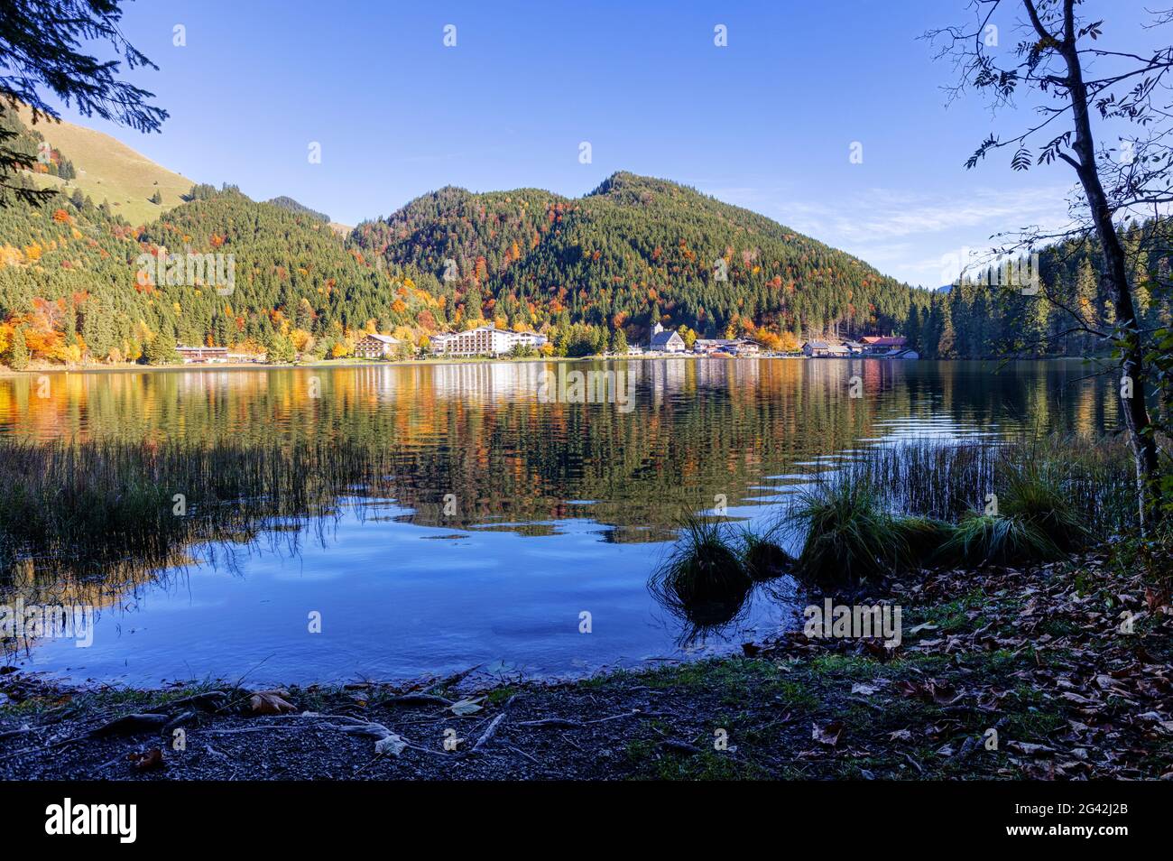 Spitzingsee on the shore in autumn, Bavaria, Germany Stock Photo - Alamy