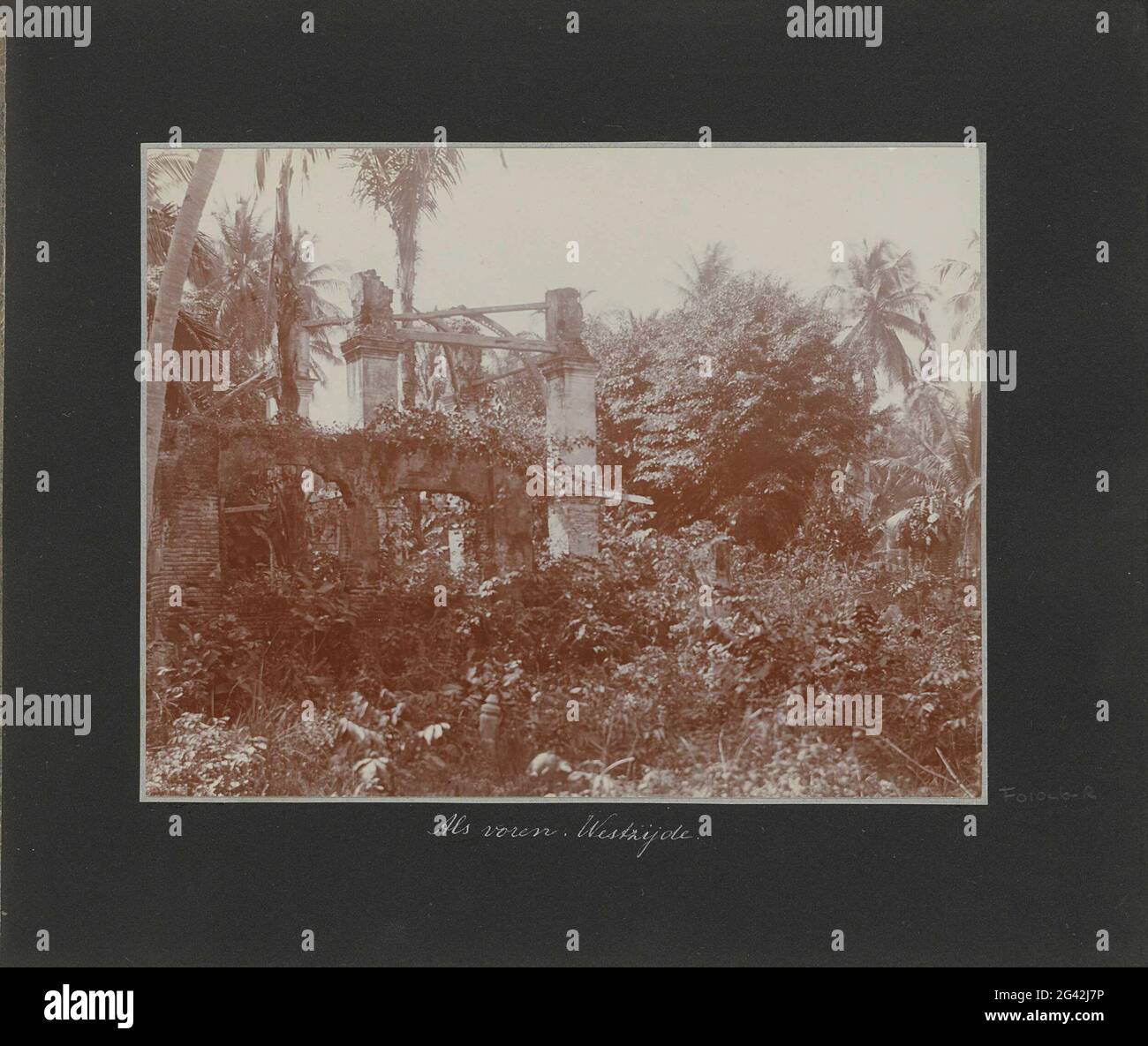 Overgrown ruins of a mosque (west side) in corridor Kali Mali in ...