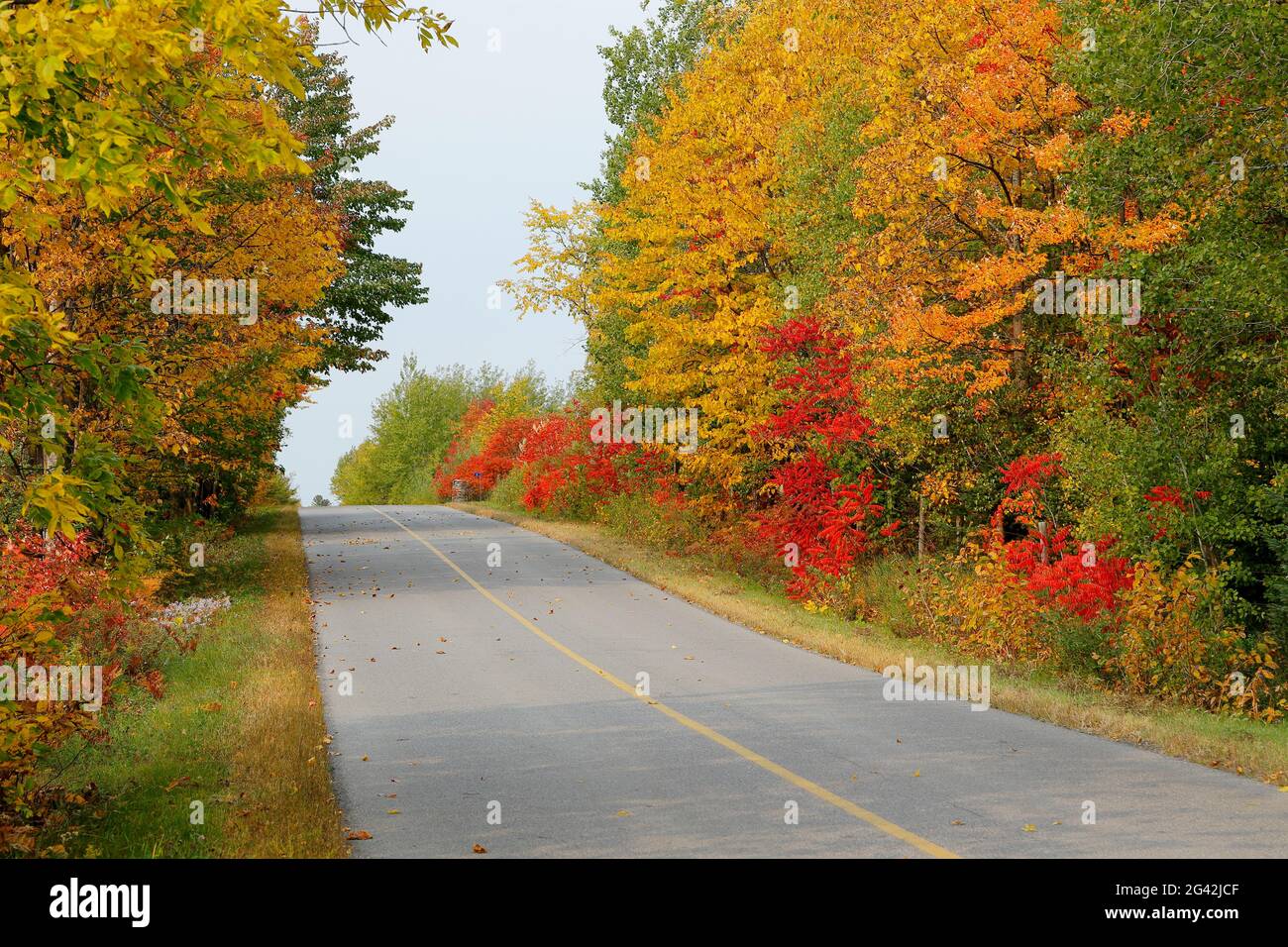 Country road in autumn, Quebec, Canada Stock Photo - Alamy