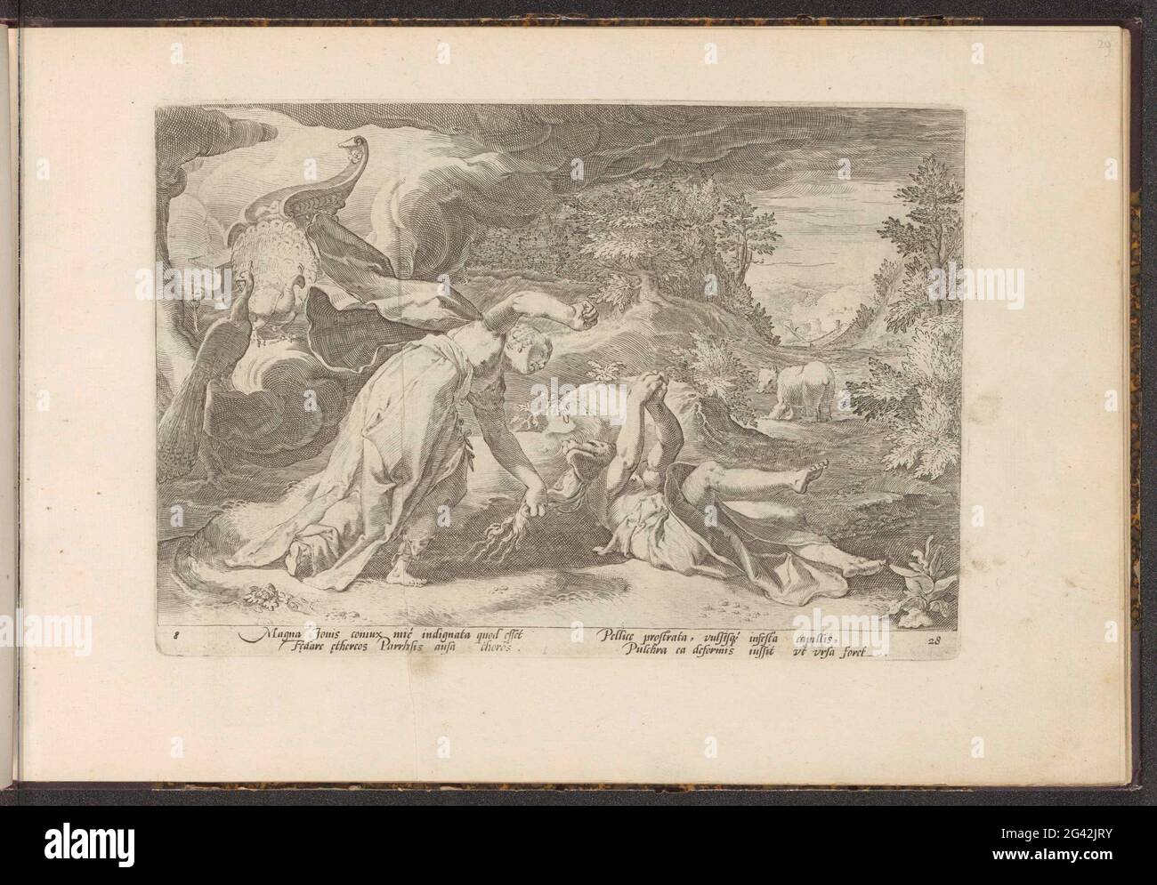 Juno changes Callisto into a bear; Ovidius' metamorphoses; Reflections ...