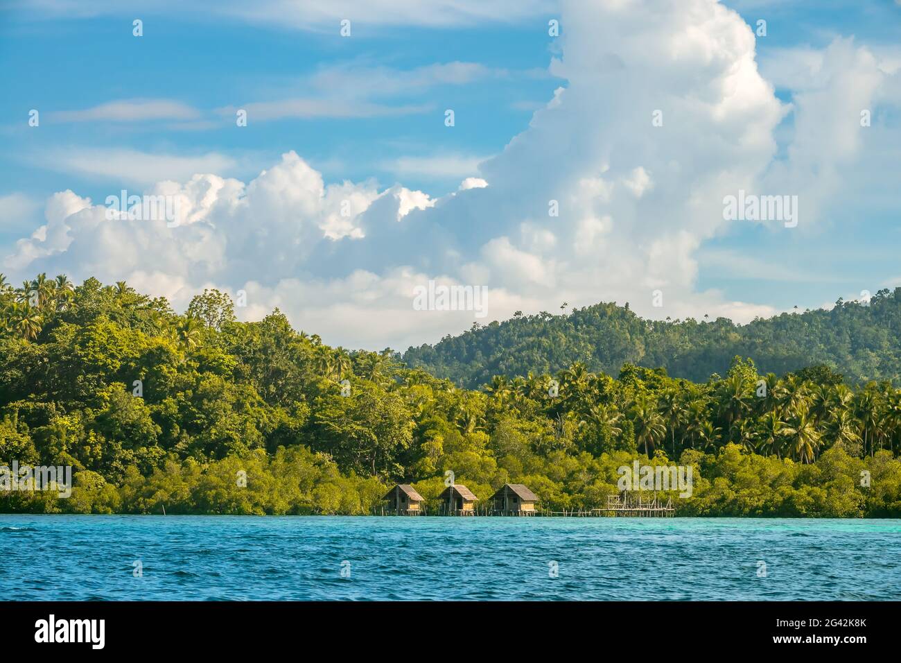 Tropical Shore With Dense Rainforest and Three Huts on Stilts in the ...