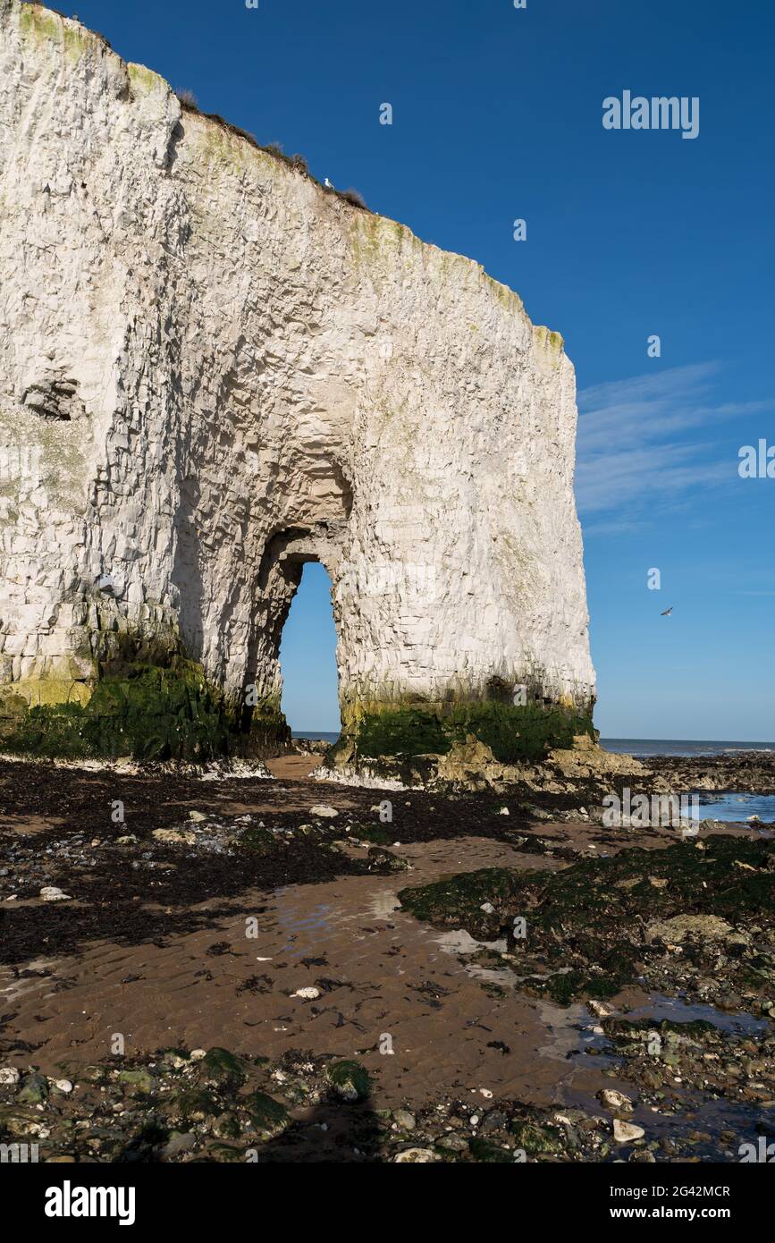 View of chalk cliffs at Botany Bay near Broadstairs in Kent Stock Photo ...