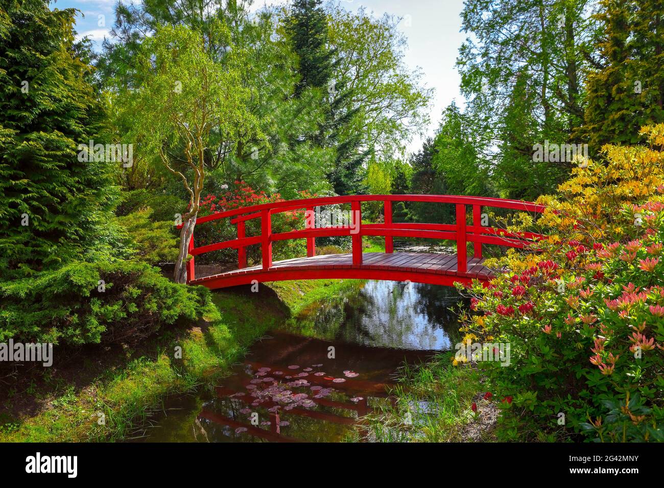 Beautiful bridge in japanese garden Stock Photo - Alamy