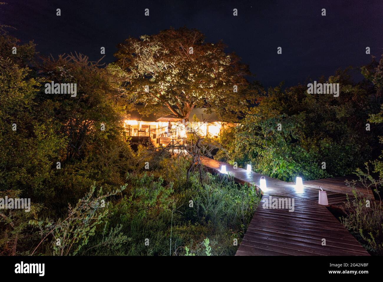 Wooden walkway leads to the main building in the luxury tented resort ...