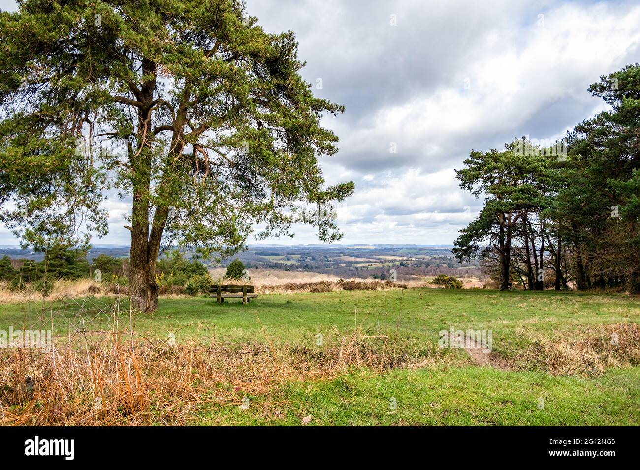 Ashdown forest view hi-res stock photography and images - Alamy