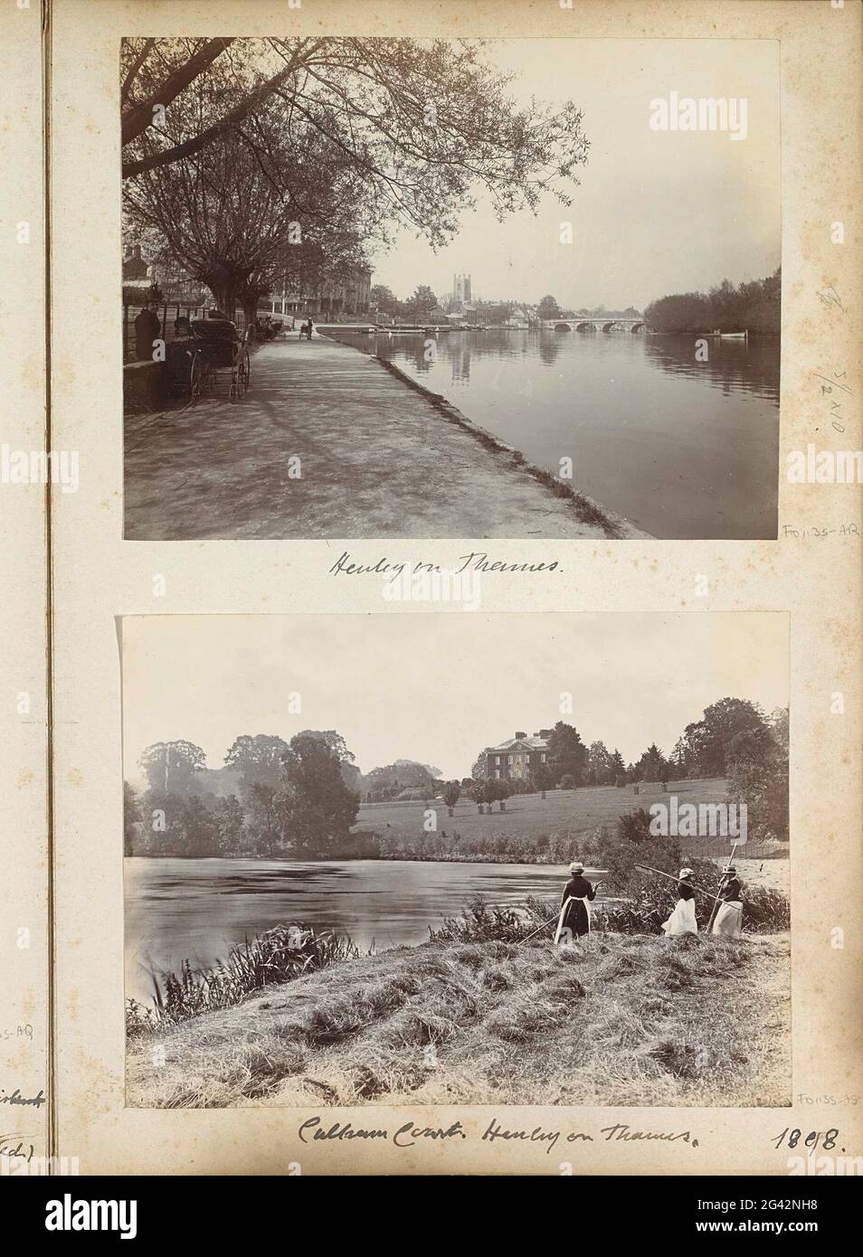 Growth women along the banks in Henley-on-Thames, in the Culham Court ...